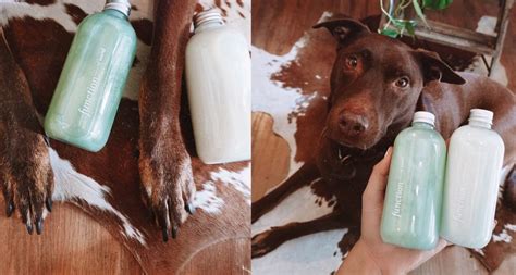 Header Fyi Function Of Beauty Blog