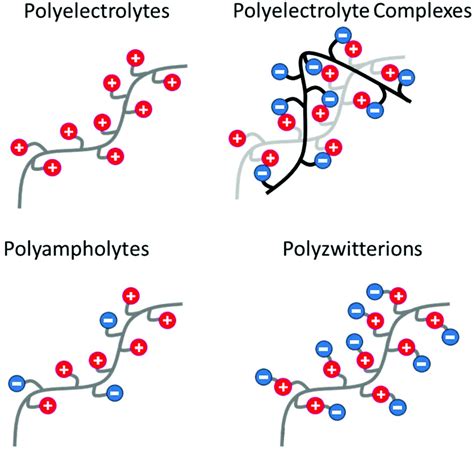 A Comprehensive Review Of The Structures And Properties Of Ionic Polymeric Materials Polymer