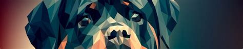 Blur Shader Using Shader Graph In Unity3d Codinblack