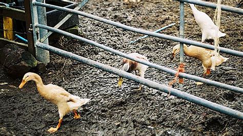 4 Ways To Make A Business Model Shift Seamless Entrepreneur Entrepreneurial Growing Your