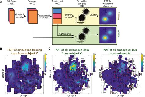 Hierarchical Action Encoding In Prefrontal Cortex Of Freely Moving Macaques Cell Reports