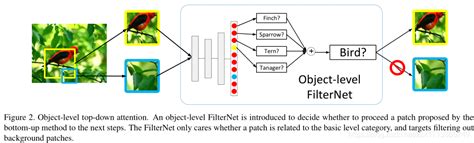 细粒度论文笔记《the Application Of Two Level Attention Models In Deep Convolutional Neural Network For
