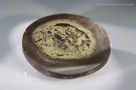 Silicated Fish Coprolite Nodule With Pyrite Scotland Uk 8158 Grams