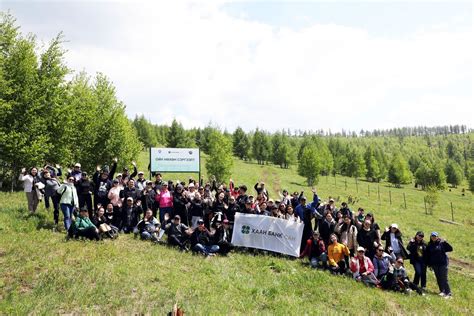 “ХААН Банкны ой” д 40 000 мод ургаж байна