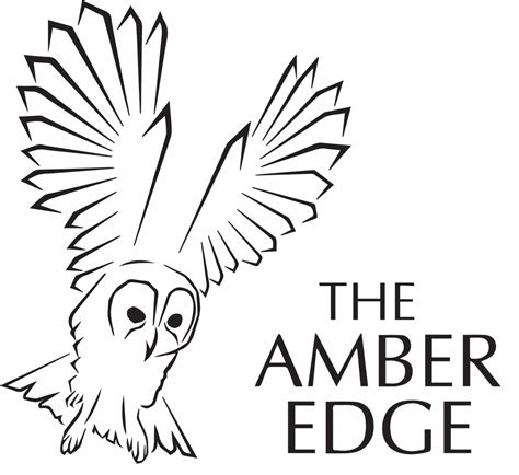 Organizational Courage Part 2 The Amber Edge