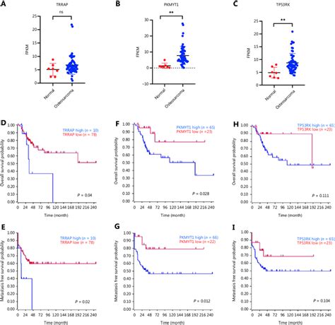 Trrap Pkmyt1 And Tp53rk Gene Expression Levels And Clinical Relevance