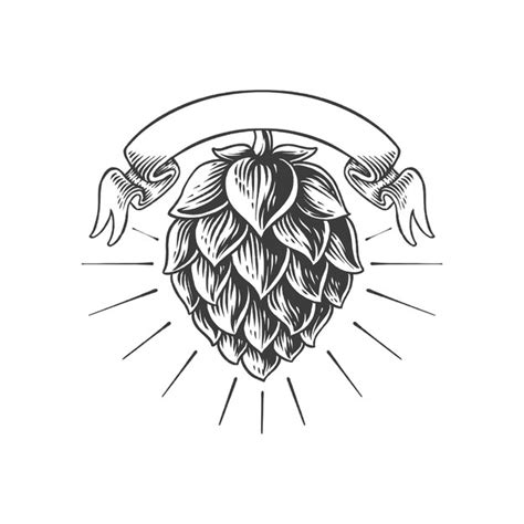 Hops Illustration Emblem In Engraving Style Premium Vector