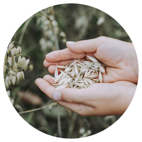 way kernel extract happivize