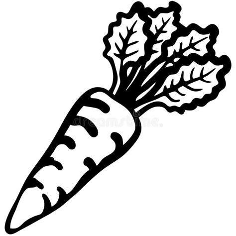 Black And White Carrot Vector Illustration For Design Projects And Coloring Books Stock