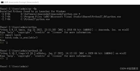 【pytorch安装】windows下，安装了torch但是import torch失败 安装了pytorch import csdn博客