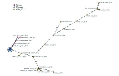 minimum spanning tree based on cgmlst allelic profiles of 23 st11