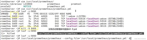 prometheus 普罗米修斯 普罗米修斯数据库 csdn博客