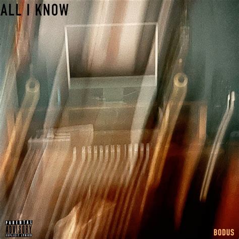 Bodus Twitter Instagram Facebook Tiktok Linktree