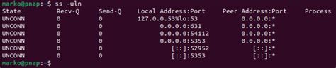 what is linux socket and how linux uses sockets