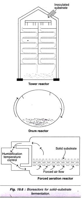 Solid State Fermentation Ssf Definition Steps Bioreactor Applications Biology Notes Online