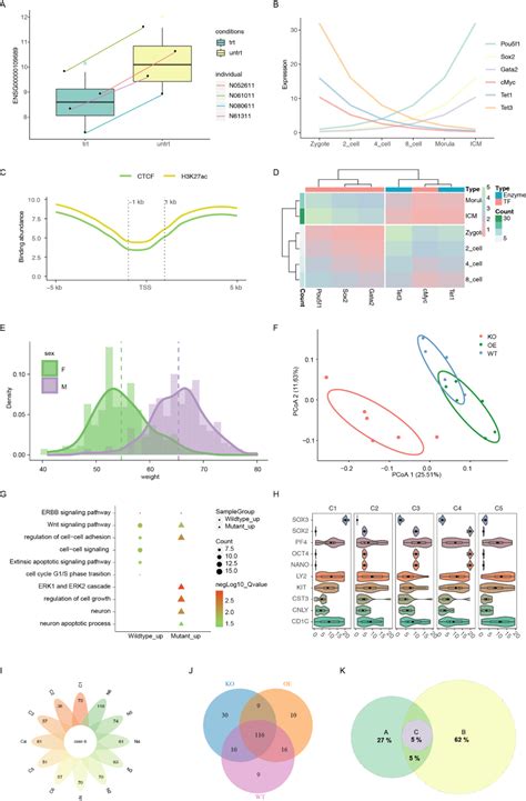 高级转录组调控分析和r语言数据可视化第十三期 （线上线下开课） Csdn博客