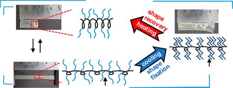 Molecular Spring Shape Memory Polymer Based On Energy Elasticity And Local Phase Transition