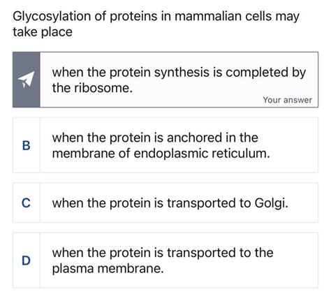 Solved In Glycolysis Phosphofructokinase Pfk 1 Is One Of