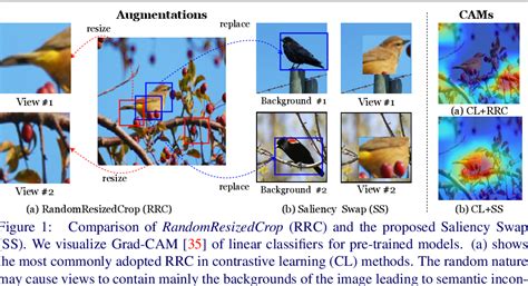 figure 2 from exploring localization for self supervised fine grained