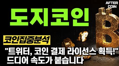 도지코인 전망 도지코인 처음부터 끝까지 일론머스크 트위터 라인만 확인하시면 됩니다 꼭 보세요 도지코인 도지코인분석 도지코인전망 도지코인시세 도지코인호재