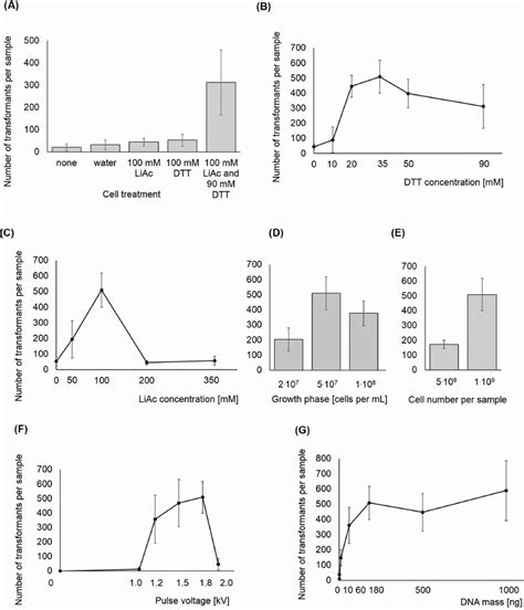 Number Of Transformants Obtained Per Transformation Sample Depending On Download Scientific