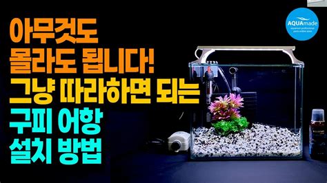 어항세팅이 처음이라면 하나부터 열까지 다 알려드립니다 영상 보고 따라하면 누구나 쉽게 구피가 잘 살 수 있는 어항을 만들 수 있어요 Youtube