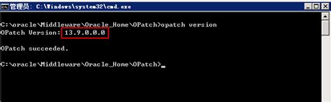Oracle Critical Patch Update Advisory April
