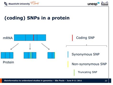 ppt something related to genetics powerpoint presentation free