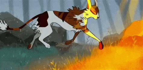 Animated Warrior Cat S