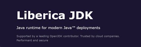 Использование liberica jdk для запуска java