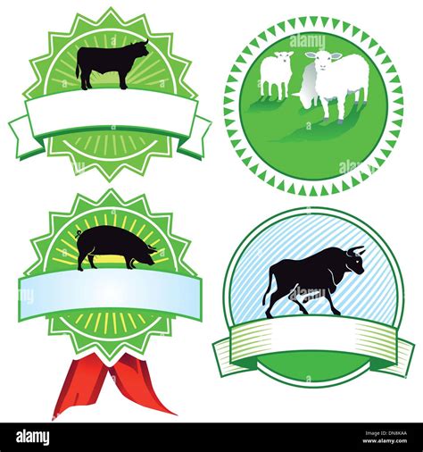 Cattle Breeding Signs Stock Vector Image Art Alamy