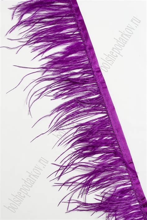 Перья страуса на ленте (2 м) SF-3949, темно-сиреневый В Интернет ...