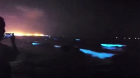 Beachgoers Amazed As Glowing Algae Puts On Stunning Bright Blue