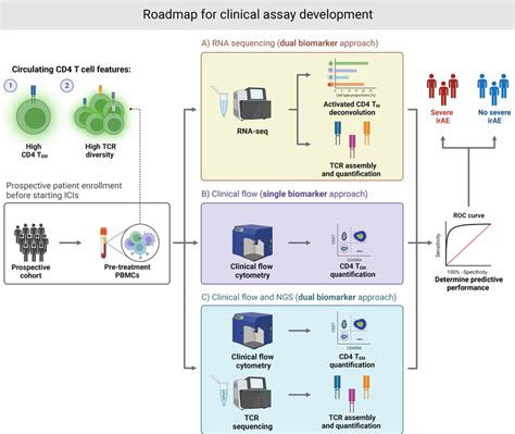 Potential Roadmap For Clinical Assay Development Following Prospective Download Scientific