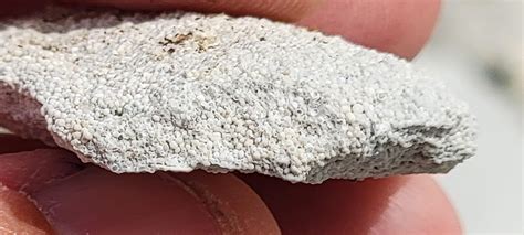 Ooids And Oolite R Geology