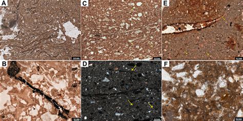 Some Of The Geogenic Biogenic And Anthropogenic Materials Described Download Scientific
