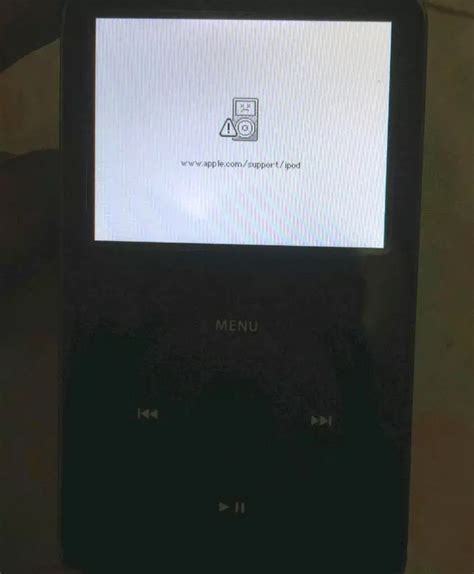 Whats The Likely Cause Of This Error Screen How Can I Troubleshoot It Ipod