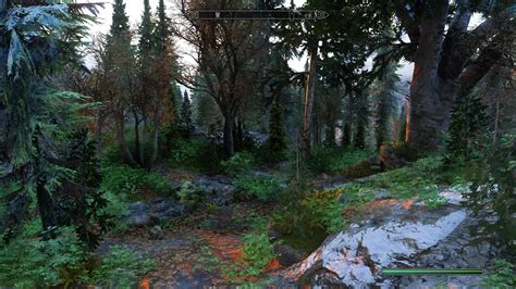 Skyrim Flora Overhaul Se At Skyrim Special Edition Nexus Mods And