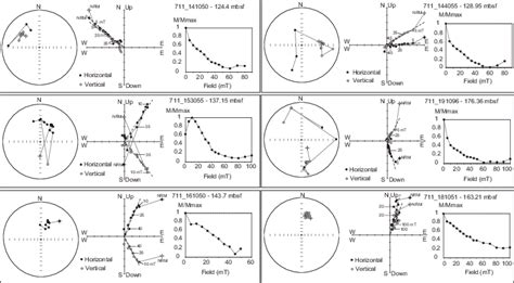 Orthogonal And Vector Component Diagrams With Normalized Intensity