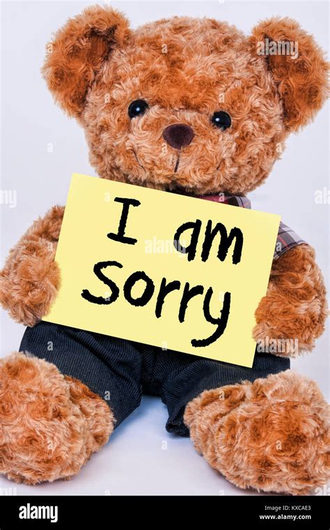 Images Of Sorry In Pictures