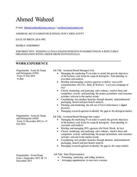 Menna Essam Cv Copy Pdf