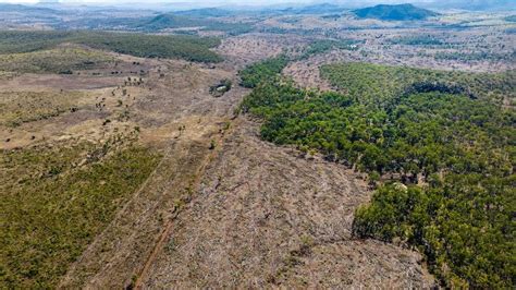 Land Clearing Figures Show 50 Per Cent Reduction Across Three Years In Queensland Rabcaus