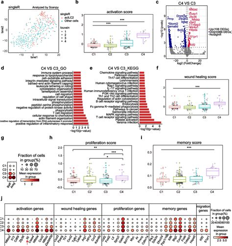 The Comparison Between C3 And C4 Clusters A A T Sne Plot Showing The