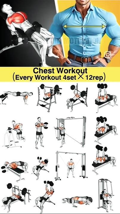 Chest Workout Workout 🏋🚴💪 Follow For More Tips Shortvideo Shorts