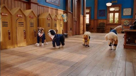 The Best Episodes Of Pup Academy Season 1 Episode Ninja