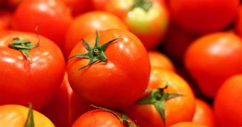 토마토 Vs 방울토마토 어디에 영양소 더 많을까