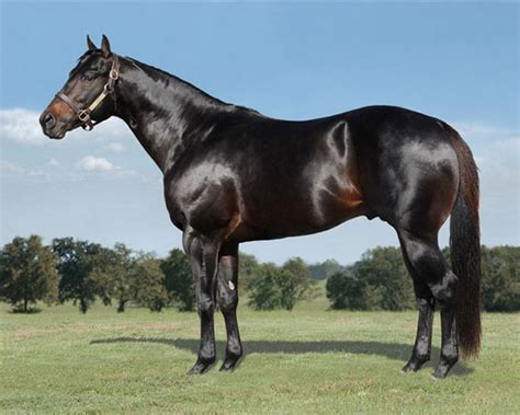 Azoom | granadafarms