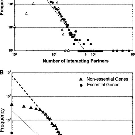 Schematic Diagram For Extracting Protein Protein Interaction Pairs