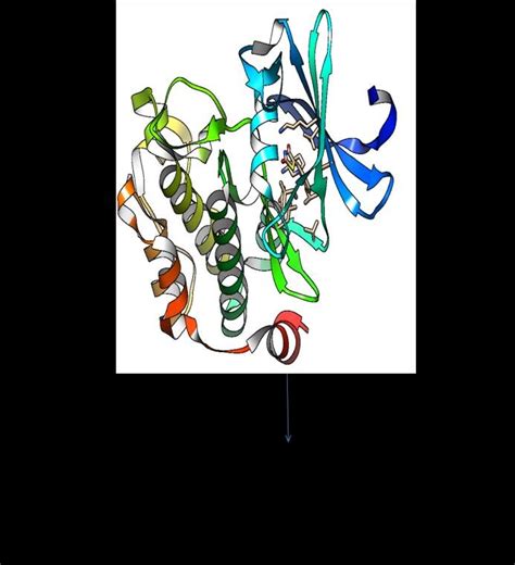 Crystal Structure Of The Pim 1 Kinase In Complex With An Download