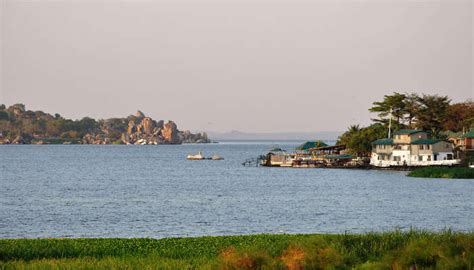 Tanzania In March 2026 Weather Safaris And Things To Do